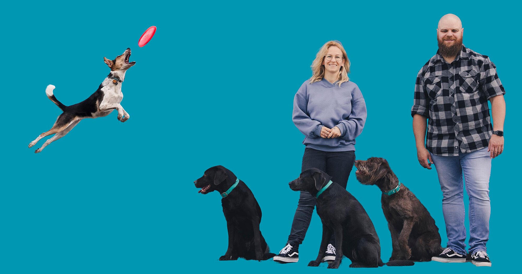 Barks & Bones: Premier Destination for Dog Daycare, Spa, and Training ...